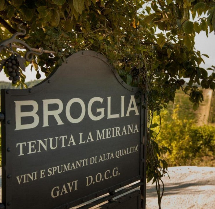 Villa Broglia La Meirana- Piedmont, Italy – 3 Palms Gallery